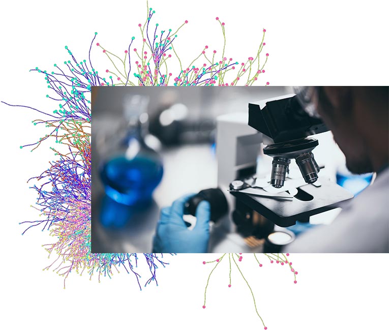 Golgi Neurosciences supporta l’elaborazione di un framework per ...